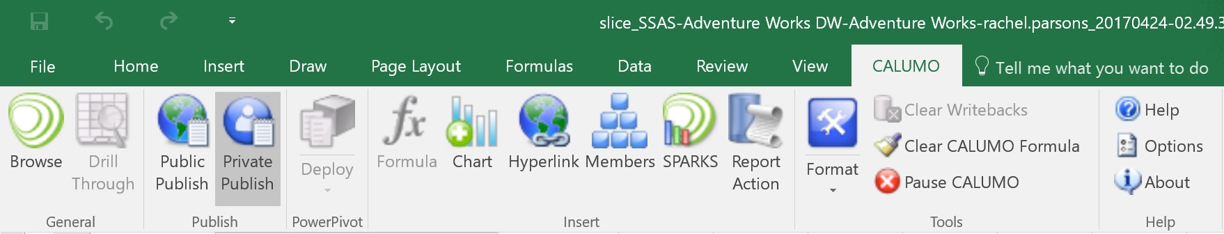 Publishing Reports - Public and Private - CALUMO Documentation